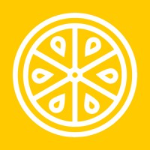 Pearl Lemon Group Graduate Programs & Internships