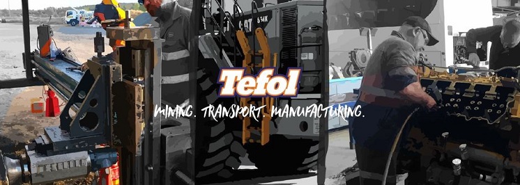 Tefol P/L Graduate Programs & Internships