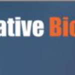 Creative Biostructure Graduate Programs & Internships