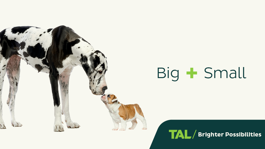 TAL - Finance Graduate Program 2026 | SEEK Grad (formerly GradConnection)